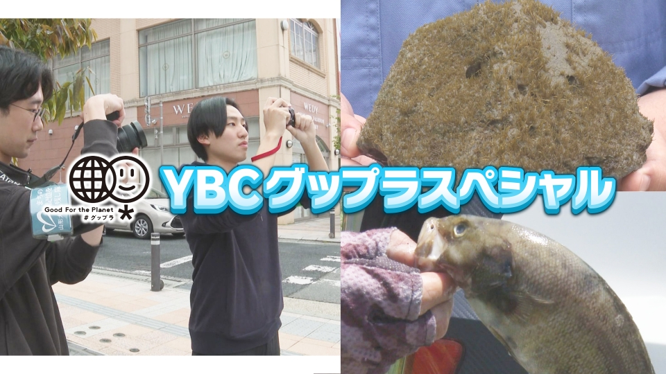 YBCグップラスペシャル｜報道／ドキュメンタリー｜見逃し無料配信はTVer！人気の動画見放題