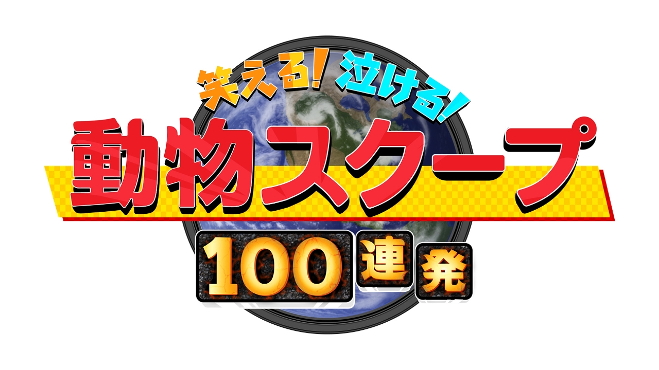笑える！泣ける！動物スクープ100連発｜バラエティ｜見逃し無料配信はTVer！人気の動画見放題