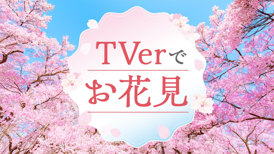 TVerにも春が来た！お花見特集のALL | 見逃し無料配信はTVer！人気の動画見放題
